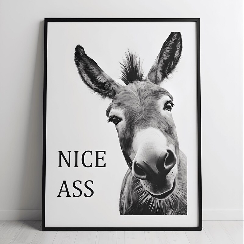 Nice Ass Poster Donkey - Etsy