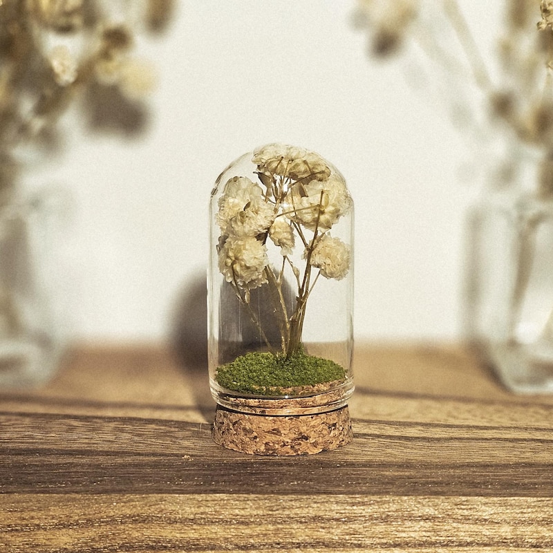 Cloche De Reemplazo - Etsy UK