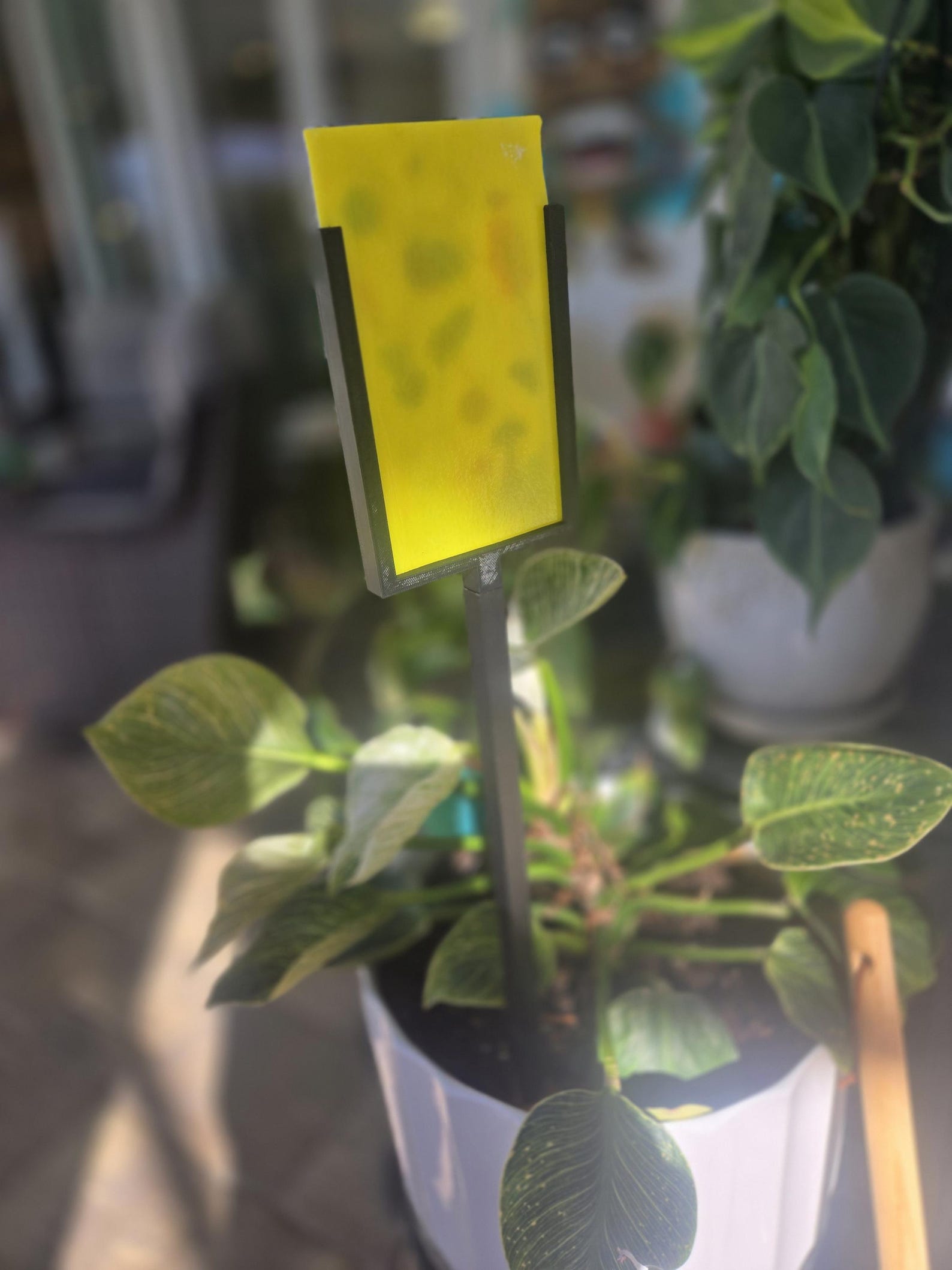 Set of 3 Black 4-inch Fused Glass Garden Stakes, Plant Art Display - Etsy