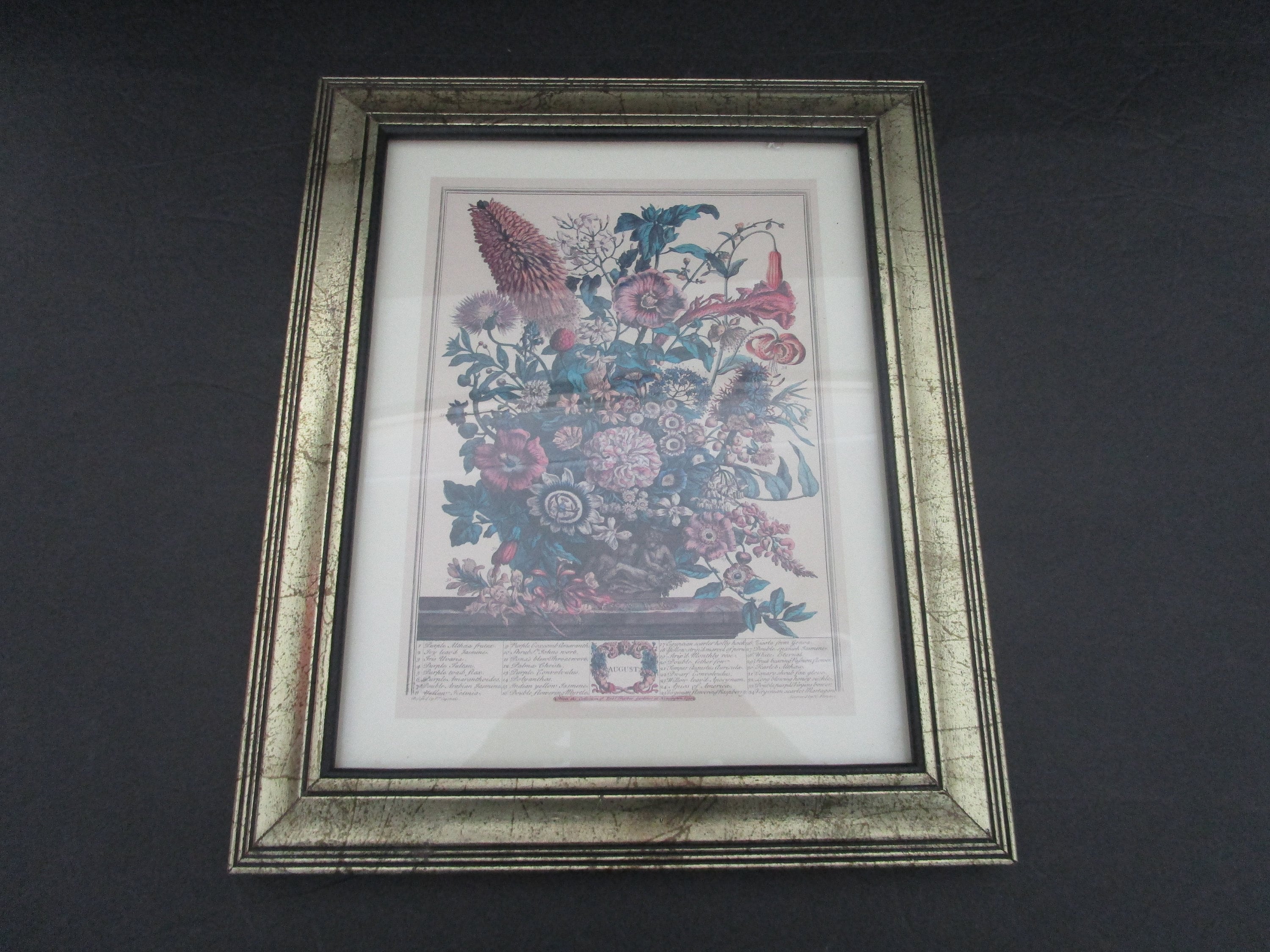 Robert Furber Flower of the Month August 1012 Framed Art - Etsy