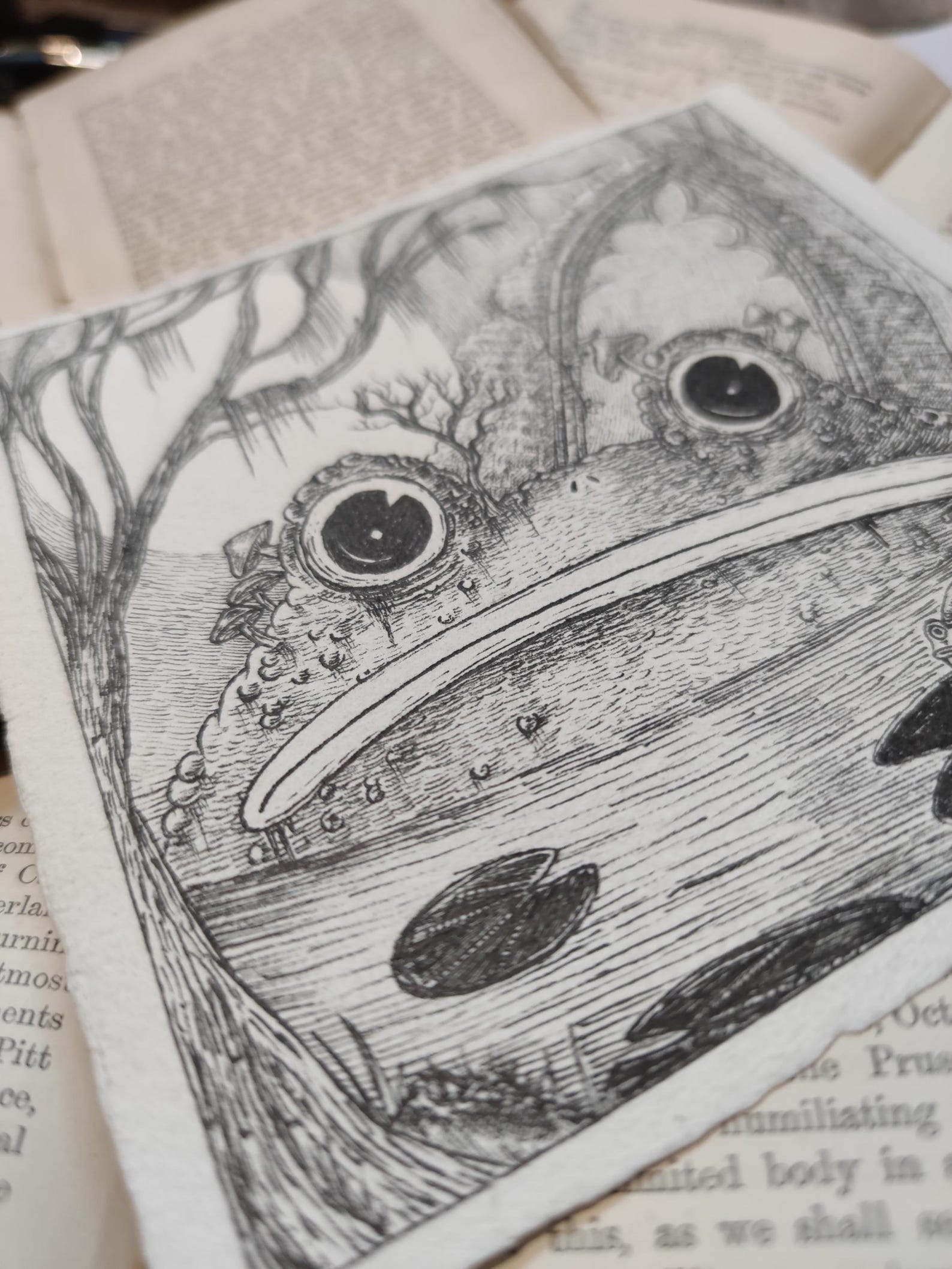 The Greatfrog- Original Spooky Swamp Frog Ink Drawing From Fragments - Etsy