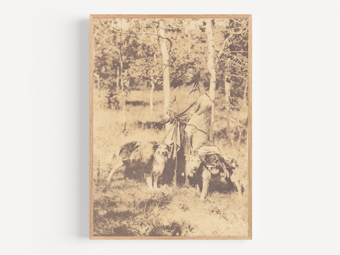Assiniboin Hunter, Edward Curtis Photography, Native America Wall Art ...