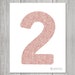 Rose Gold Glitter Number Sign - Back to School Signs - Birthday Signs ...