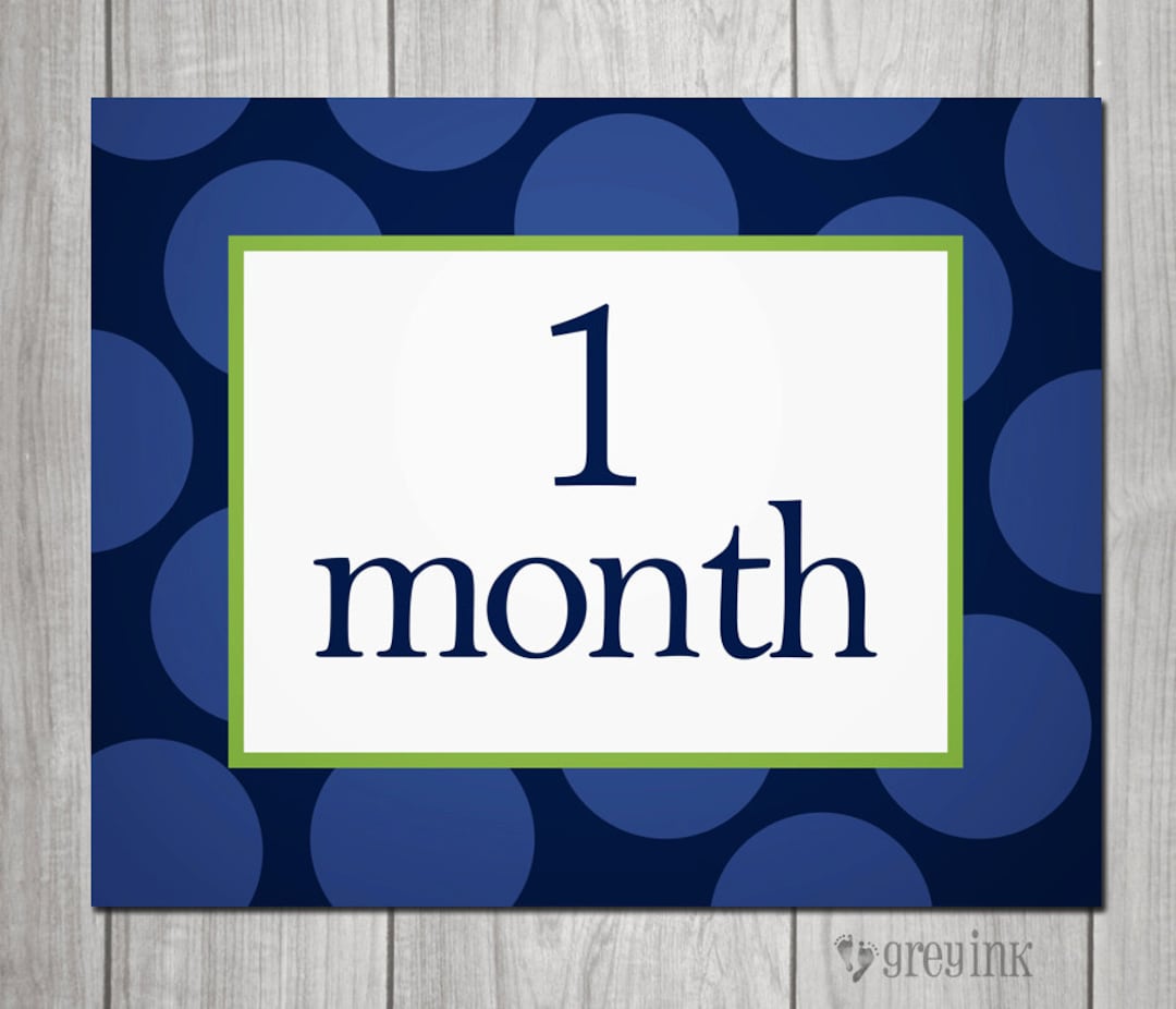 8x10 Blue Dot Digital Monthly Signs photo Props for Baby's First Year ...