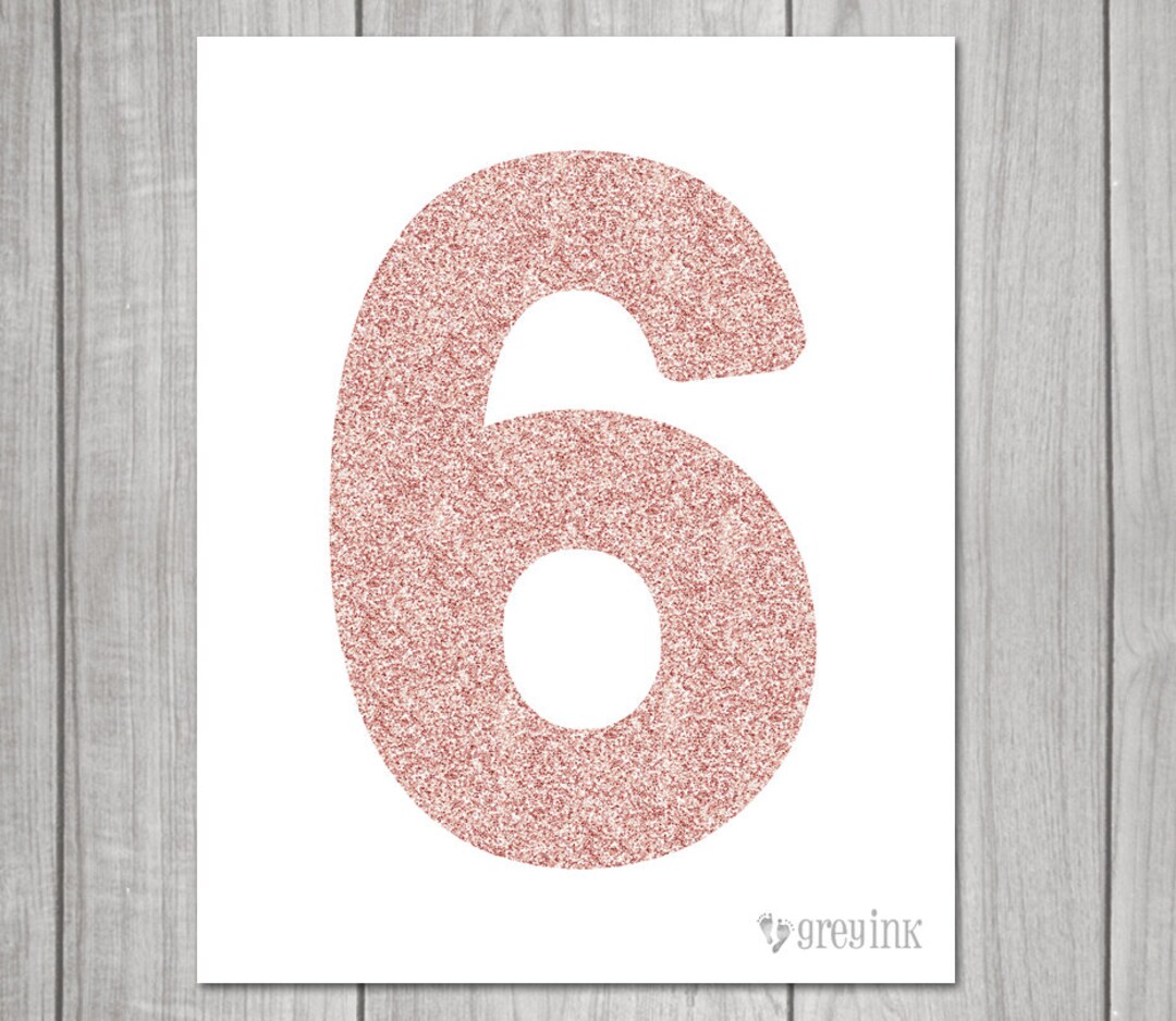 Rose Gold Glitter Number Sign Back to School Signs Birthday Signs 6 Six ...