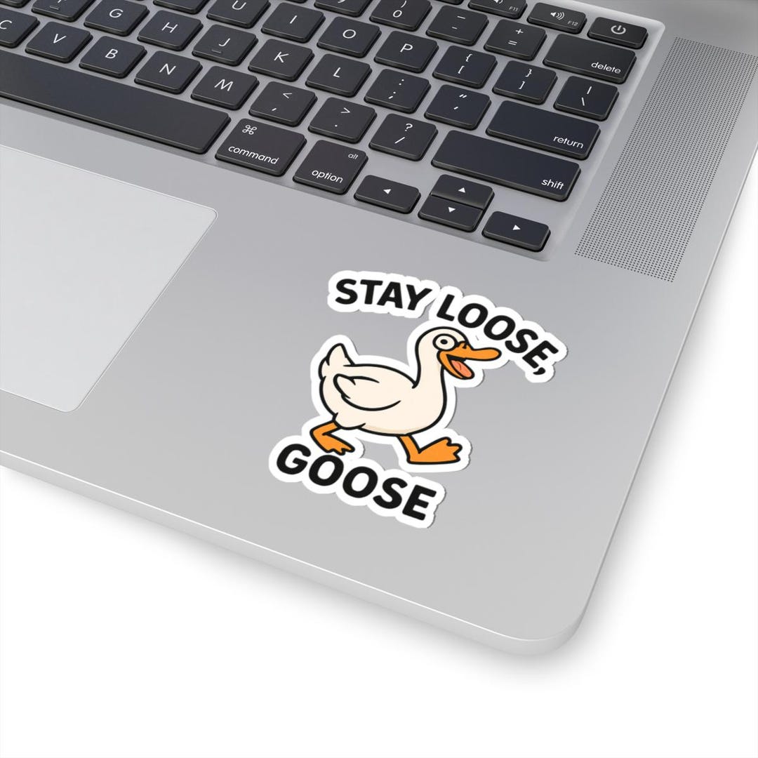 Goofy Goose Sticker | Silly Bird Decal - Etsy