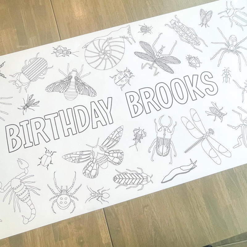 Insect Poster - Etsy