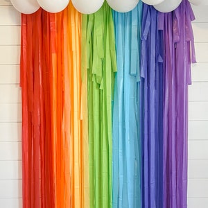 Classic Rainbow Fringe Backdrop, Streamer Backdrop, Bright Backdrop ...