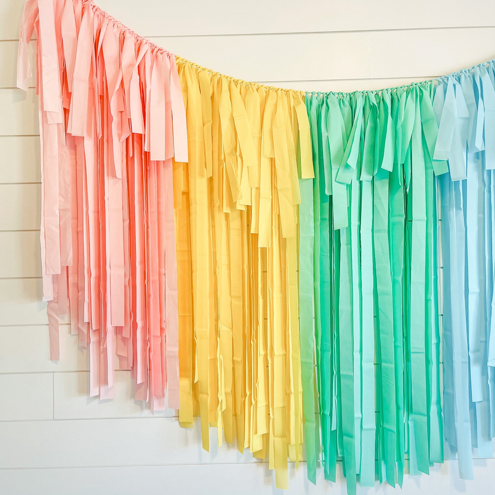 Fringe Backdrop Streamer Backdrop Pastel Backdrop Birthday - Etsy