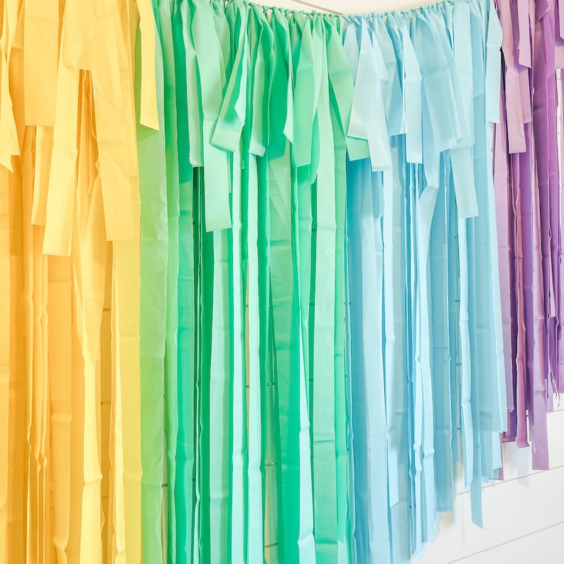 Fringe Backdrop, Streamer Backdrop, Pastel Backdrop, Birthday Party ...