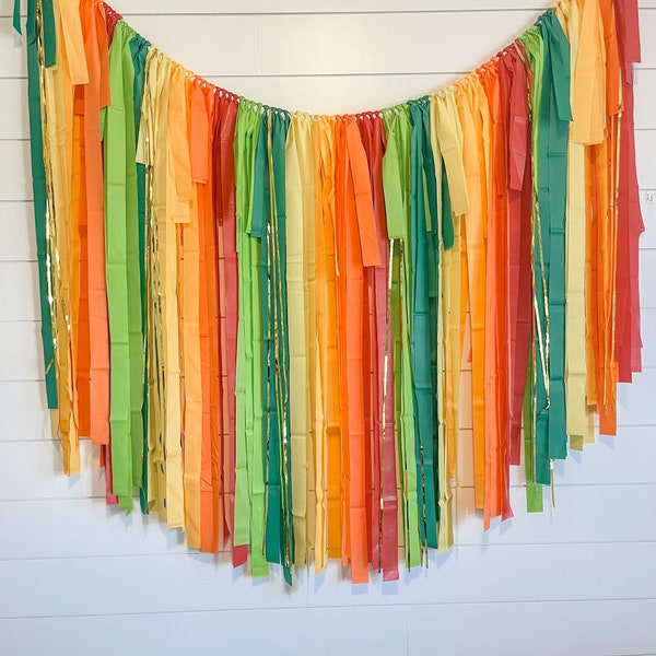 Fiesta Streamer Backdrop - Etsy