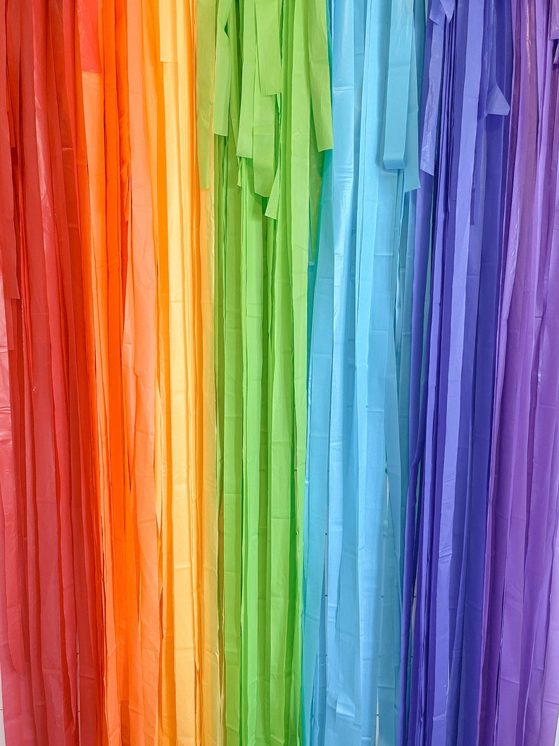 Classic Rainbow Fringe Backdrop Streamer Backdrop Bright - Etsy