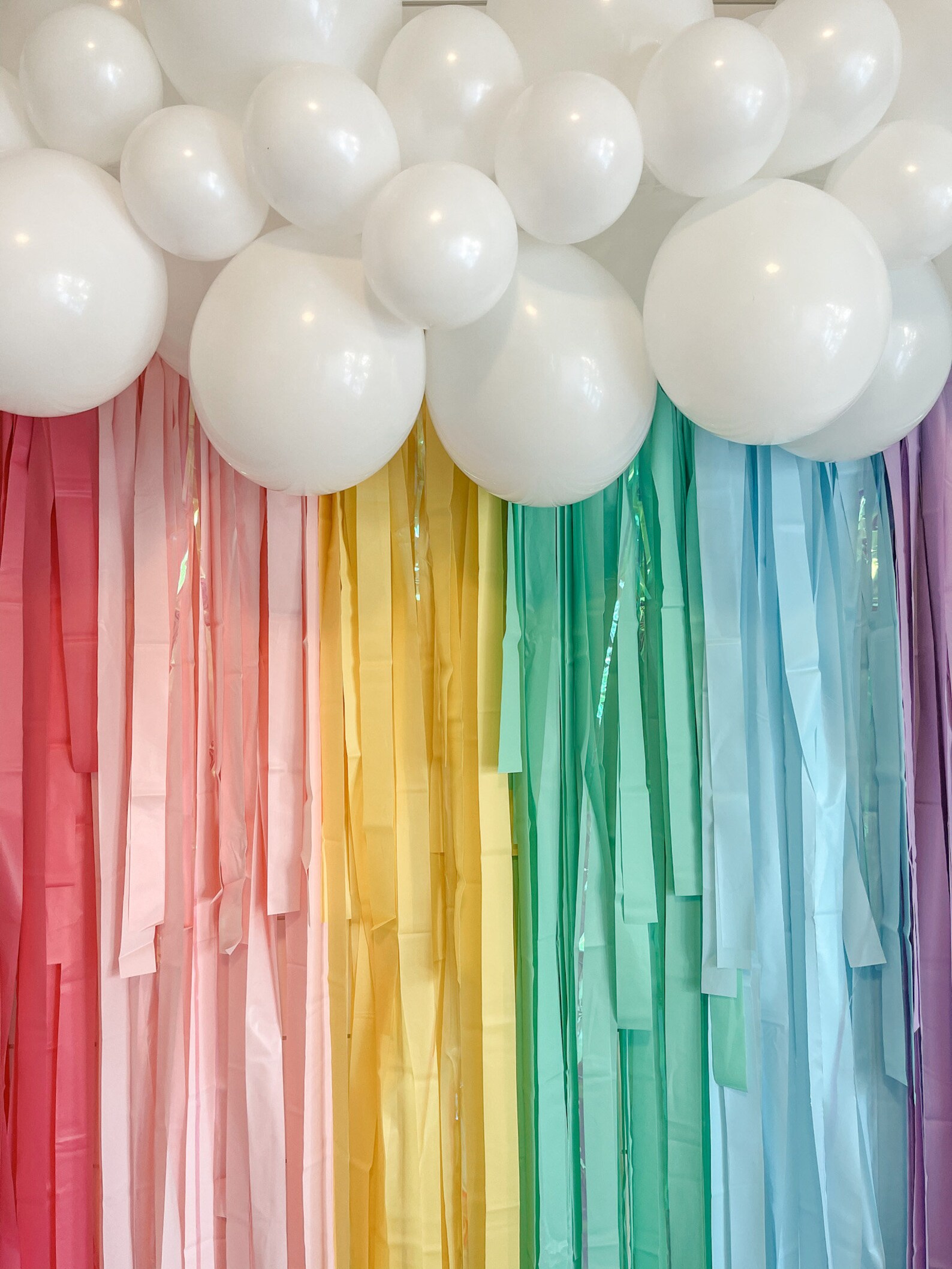 Pastel Rainbow Fringe Backdrop Streamer Backdrop Pastel | Etsy