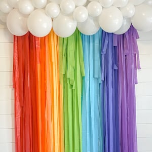 Classic Rainbow Fringe Backdrop, Streamer Backdrop, Bright Backdrop ...