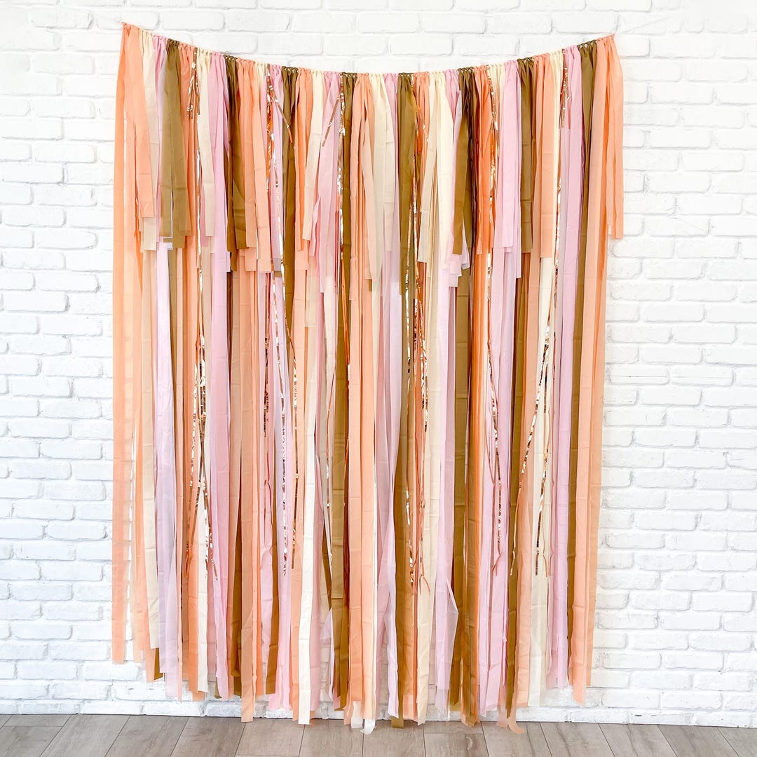 Peaches and Cream Fringe Backdrop, Streamer Backdrop, Peach Backdrop ...