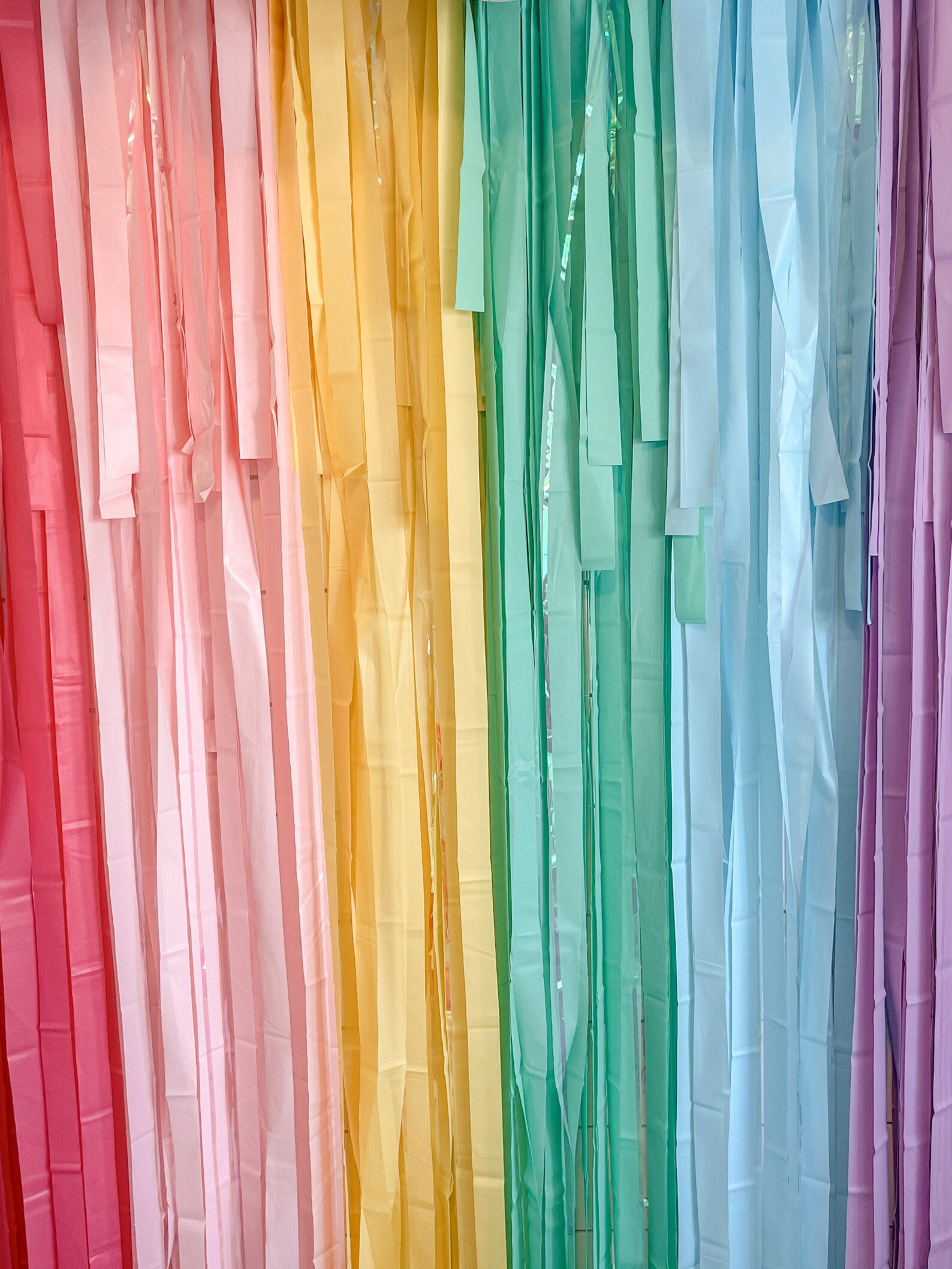 Pastel Rainbow Fringe Backdrop, Streamer Backdrop, Pastel Backdrop ...