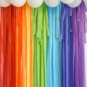 Classic Rainbow Fringe Backdrop, Streamer Backdrop, Bright Backdrop ...