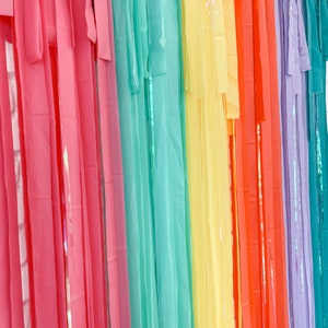 Groovy Fringe Backdrop, Streamer Backdrop, Bright Backdrop, Birthday ...