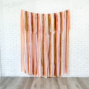 Peaches and Cream Fringe Backdrop, Streamer Backdrop, Peach Backdrop ...