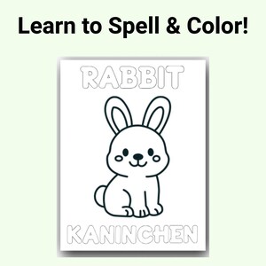 Bilingual Vocabulary Worksheets | English–hebrew Animals & Words | Ages ...