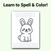 Bilingual Vocabulary Worksheets | English–hebrew Animals & Words | Ages ...