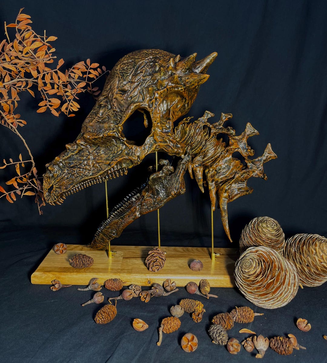 Pachycephalosaurus Dinosaur Skull Dinosaur Fossil Sculpture With