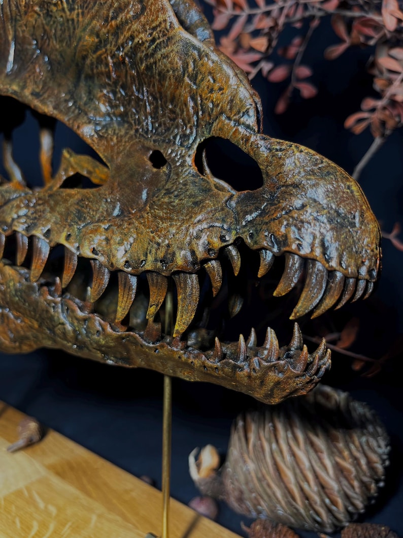 Dilophosaurus Dinosaur Skull Replica – Hand-painted Fossil Sculpture ...