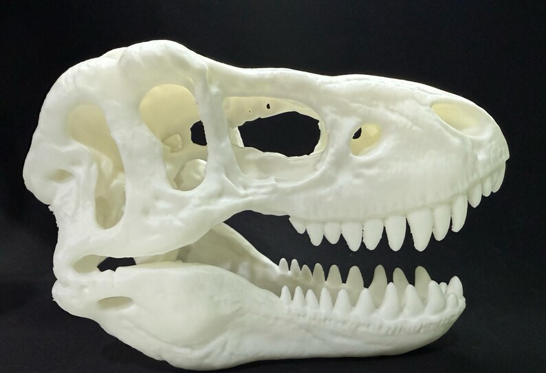 Realistic T-rex Skull | 3D Printed Dinosaur Fossil Model ...