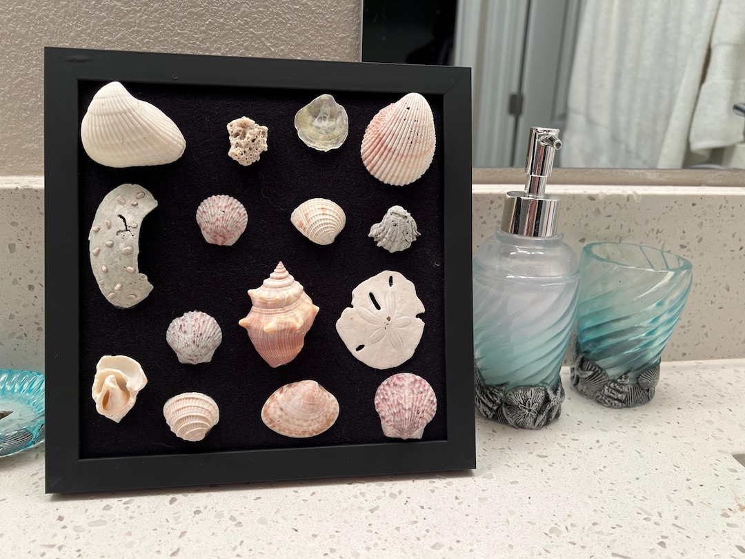 Quirky Shell Art in a Picture Frame - Etsy
