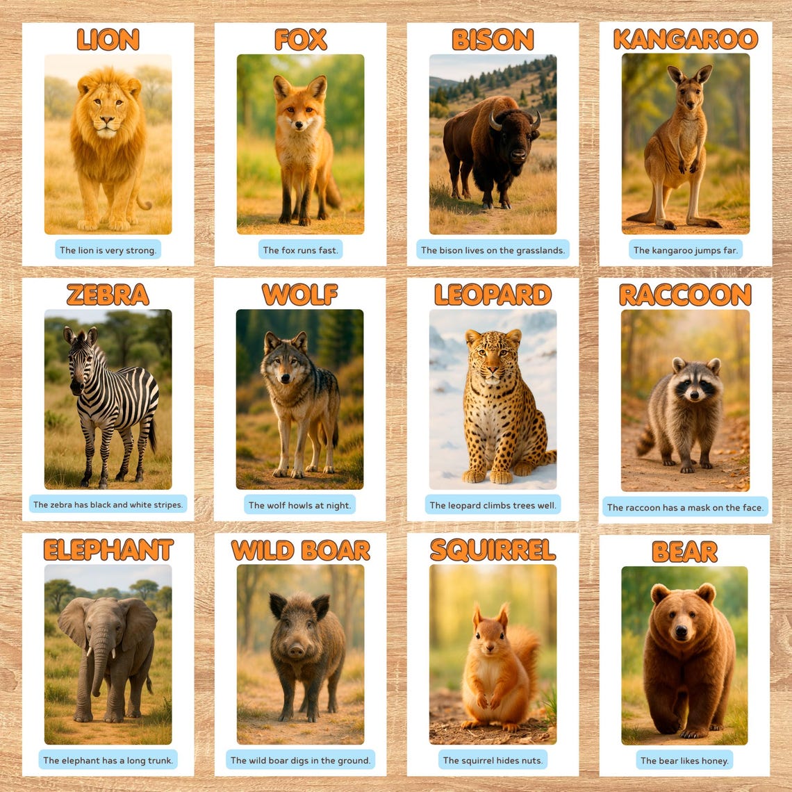 25 Wild Animals Flash Cards • Printable A4 PDF • Educational Animal ...