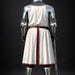 Mirror Polished Templar Knight Armor Suit With Red Cross Tabard – Full ...