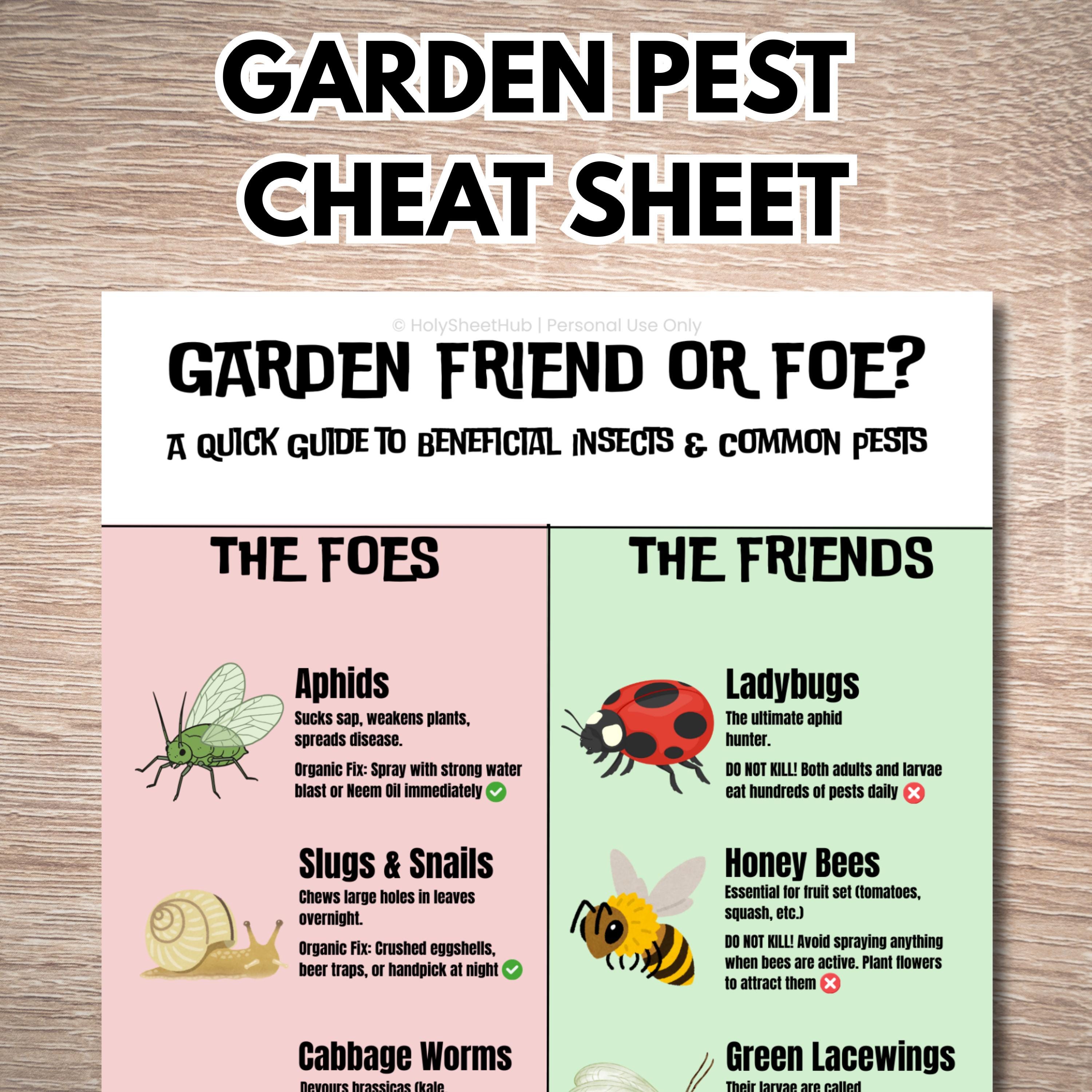 Garden Pest Identifier Chart Printable | Good Bug Vs Bad Bug Poster ...