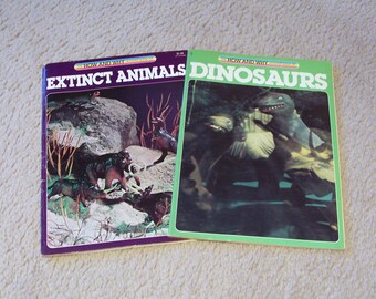 Dinosaurs book | Etsy