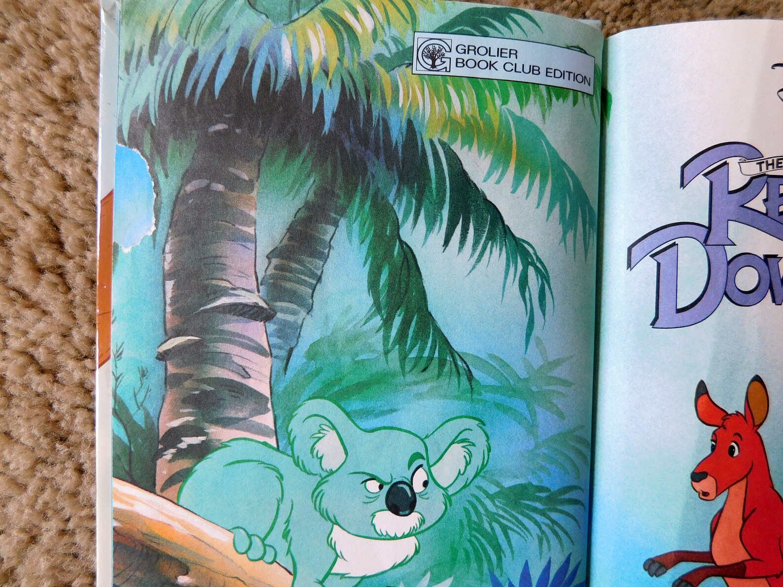 Disney's Wonderful World of Reading You Choose Which | Etsy