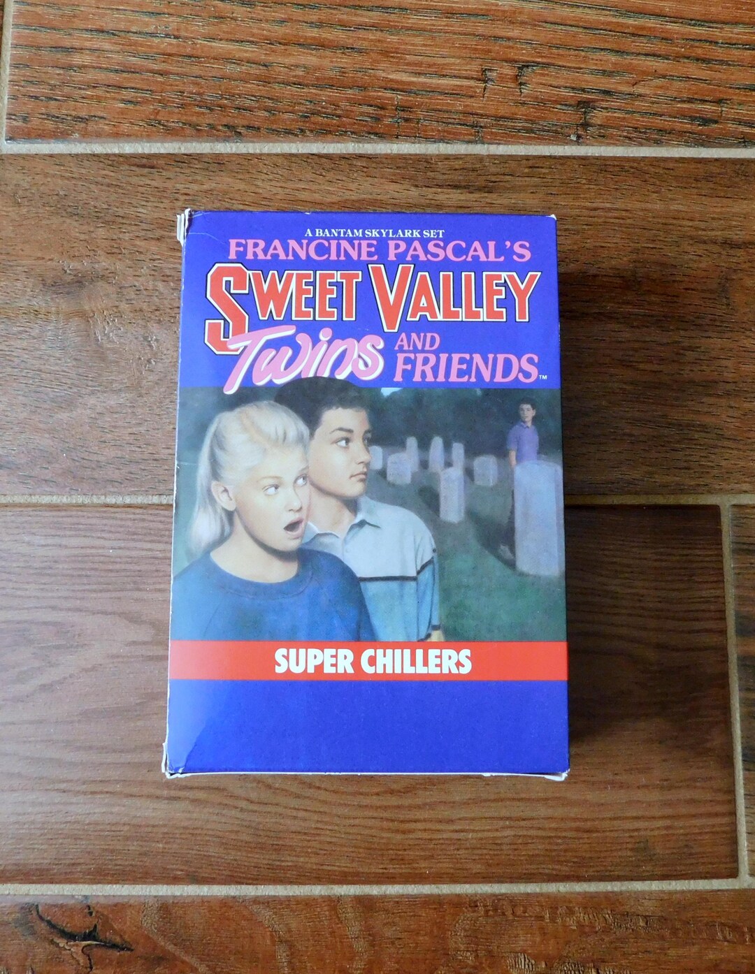 Sweet Valley Twins and Friends Box Set - Francine Pascal - Etsy
