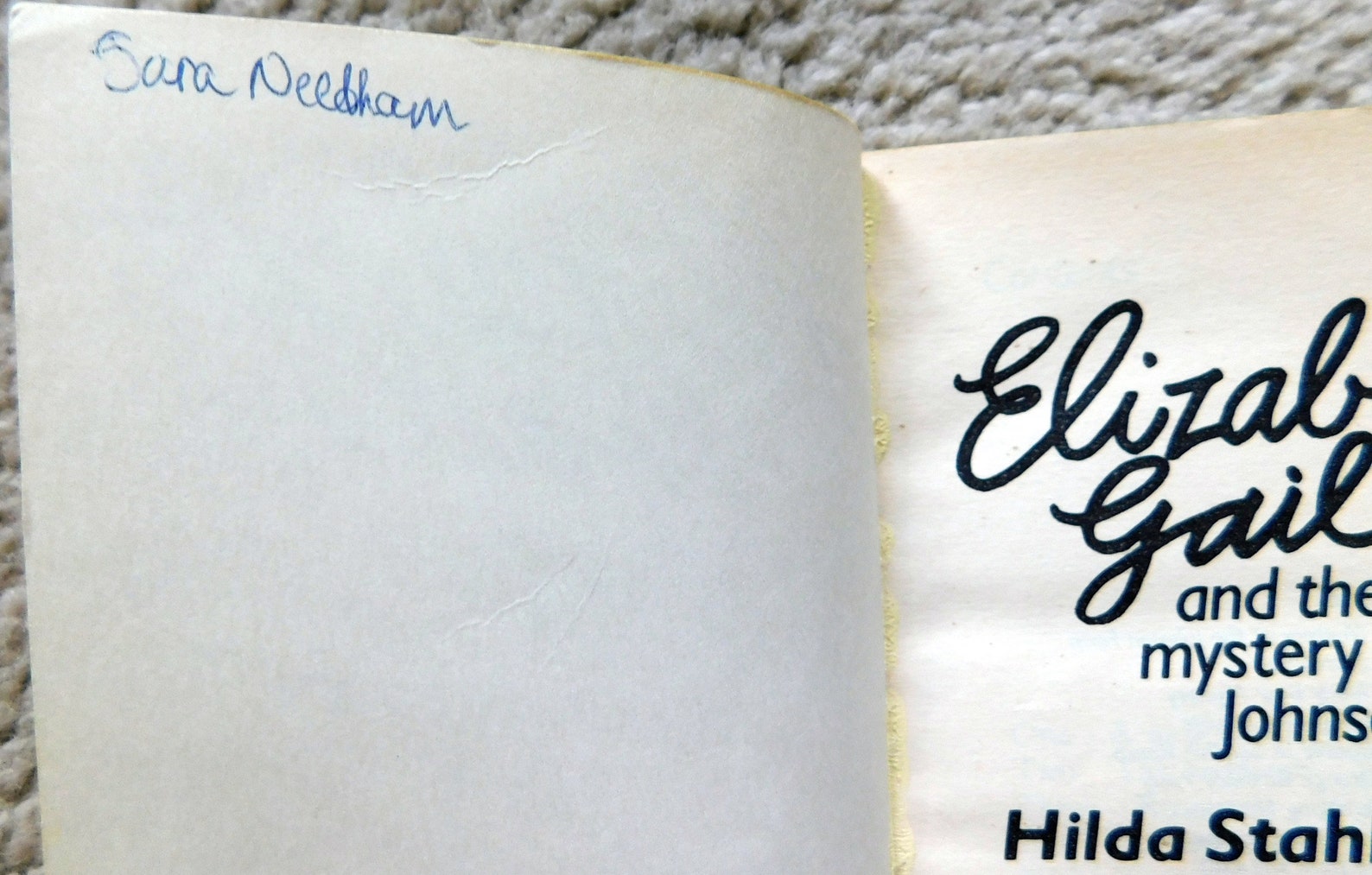 Elizabeth Gail Mystery Books Hilda Stahl and 1 More You Choose Which ...