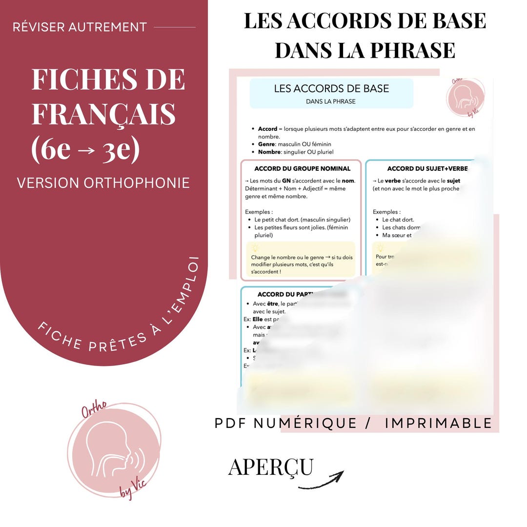 French Revision Worksheets: Basic Agreements - Speech Therapy Versions ...