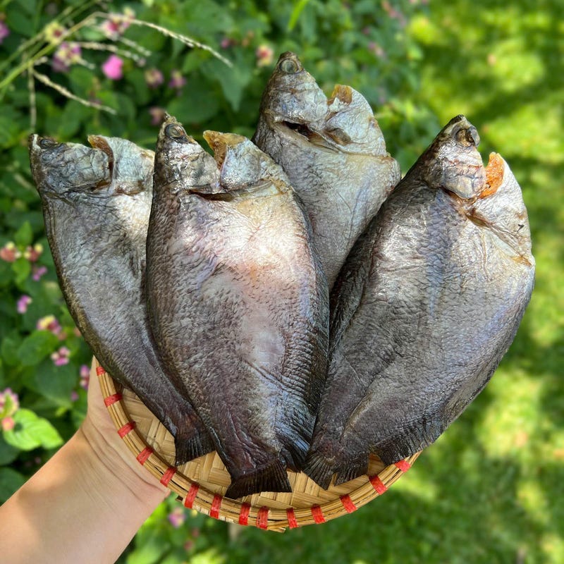 Vietnamese Dried Fish - Etsy