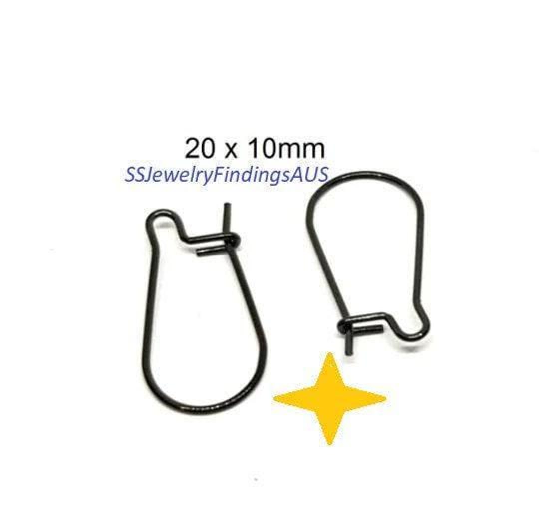 2 Pairs Black Tone Stainless Steel Kidney Earwire Earring Hooks 20mm ...