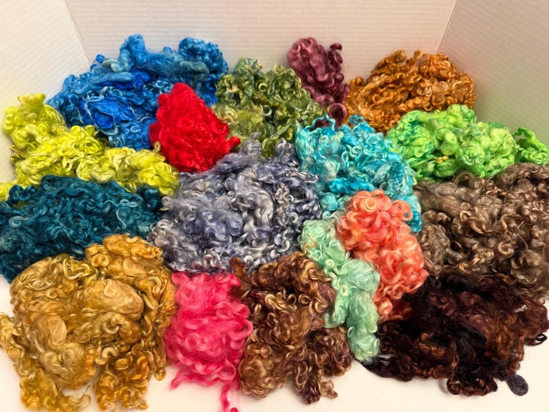 Colorful Teeswater Locks - Etsy New Zealand