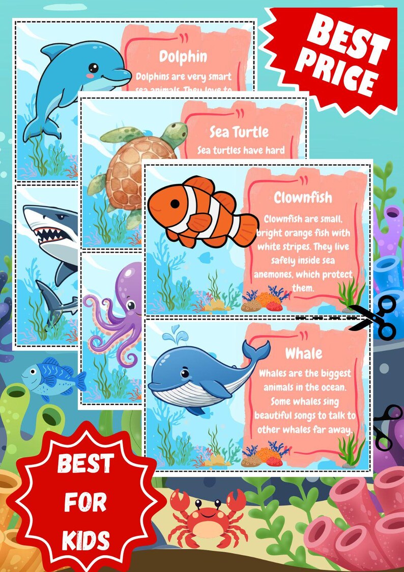Affordable Printable Flashcards? Try This Sea Creatures for Your Kids ...