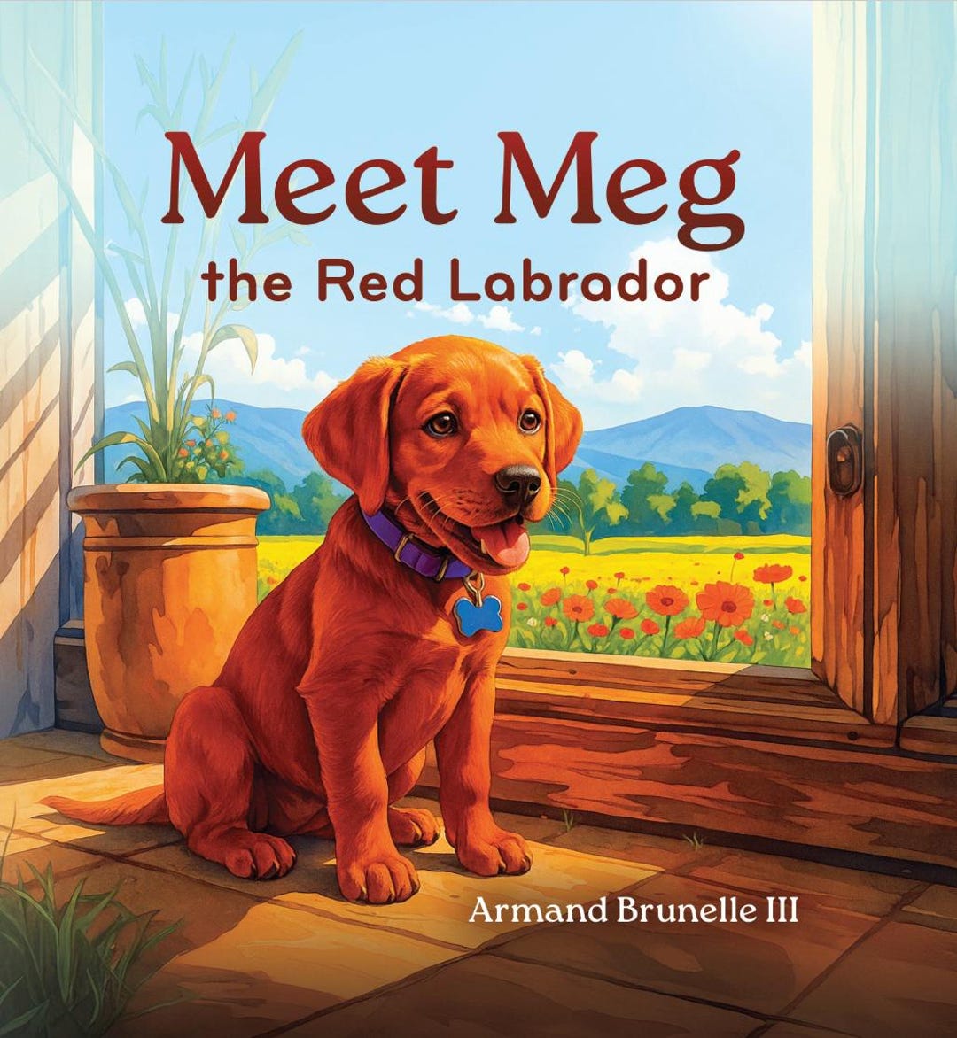 Meet Meg the Red Labrador Hard Cover Book - Author Signed - Etsy