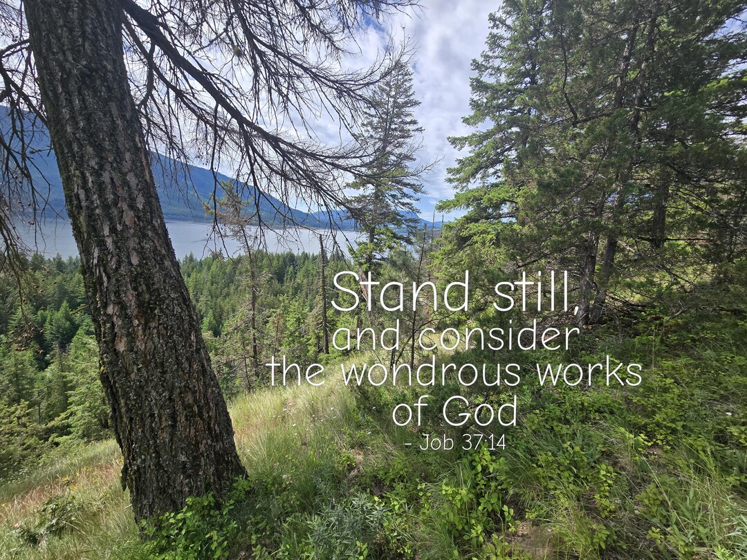 Stand Still and Consider the Wonderous Works of God - Job 37:14 ...