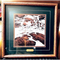 Kevin Daniel "out on a Limb" Bear Art-framed 15 X 19 - Etsy