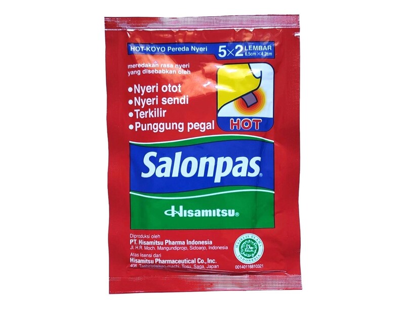 Salonpas Hot 10 Patches (size:42 X 65mm), HALAL - Etsy Australia