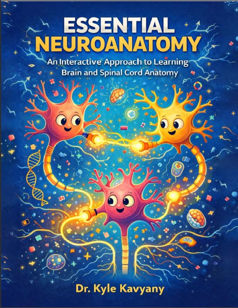 Essential Neuroanatomy: Structures, Cells, and Pathways - Etsy