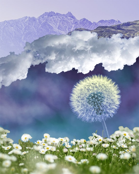 Dandelion Wish Art
