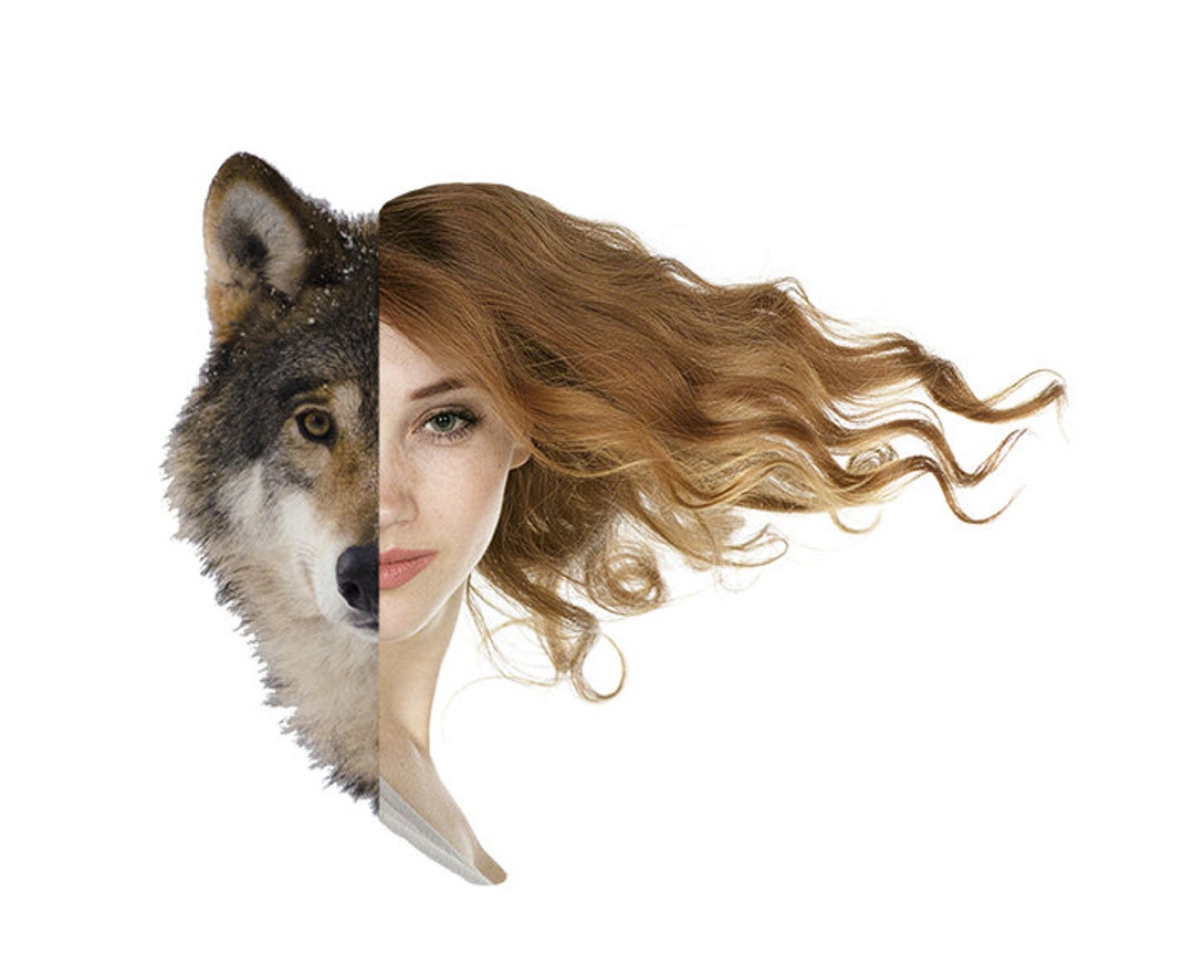 Collage Artwork Digital Collage Art Woman Wolf Surreal Art Digital Art ...