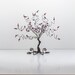 Business Card Holder Tree Custom Sculpture in Any Color Combination - Etsy