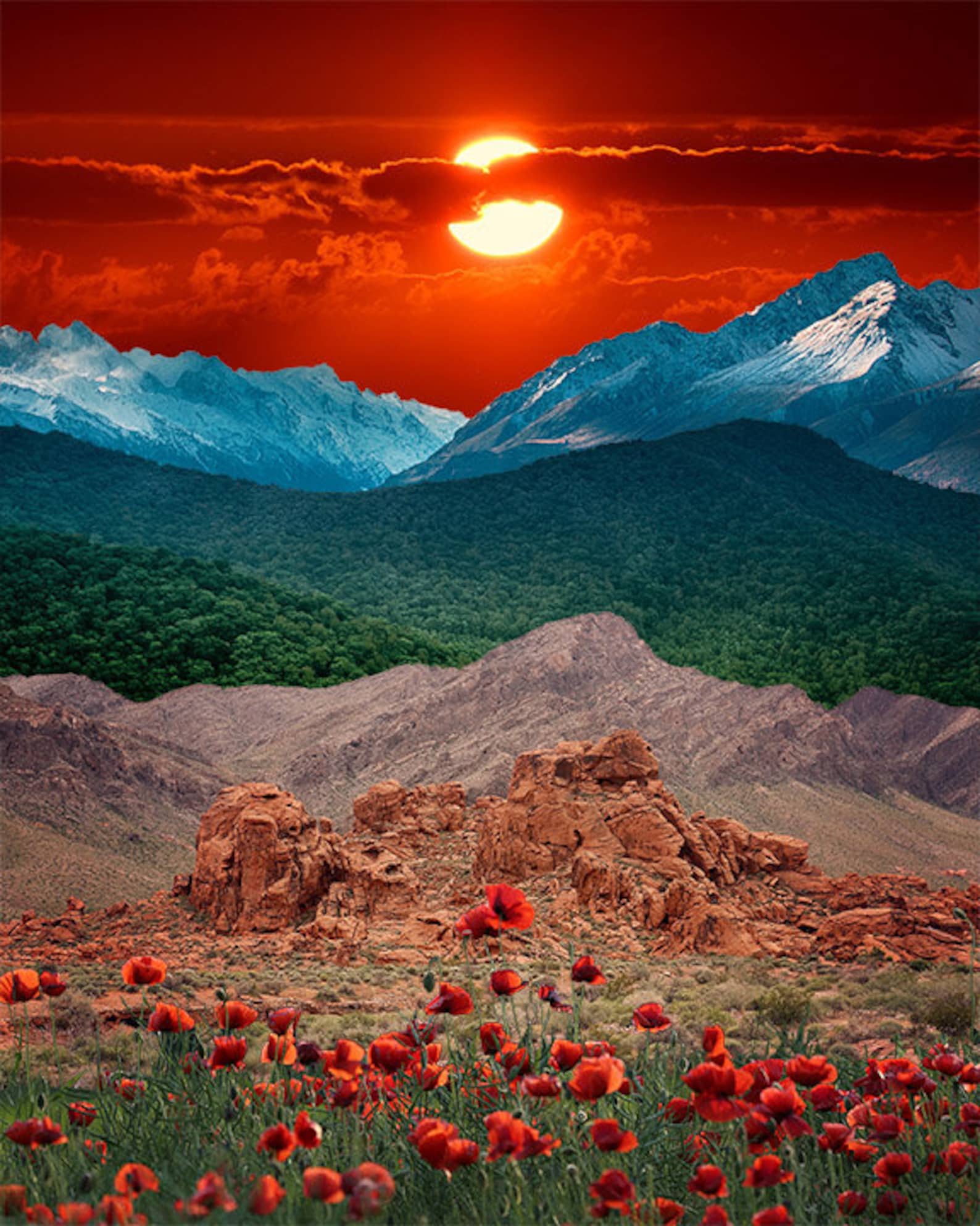 Landscape Collage Artwork Dreamscape Trees Digital Art Collage - Etsy